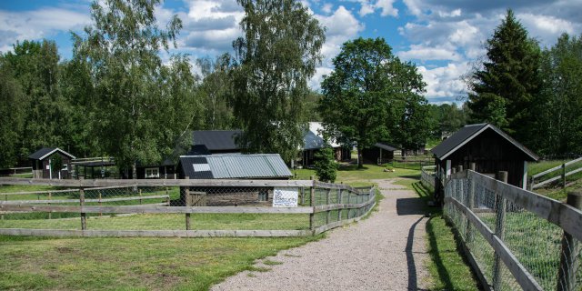 Borås Djurpark - Zoo in Borås | GuidebookSweden