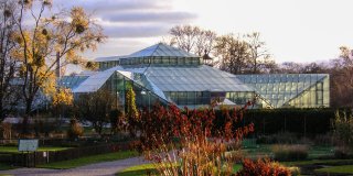 Bergianska Trädgården - Botanical garden in Stockholm | GuidebookSweden